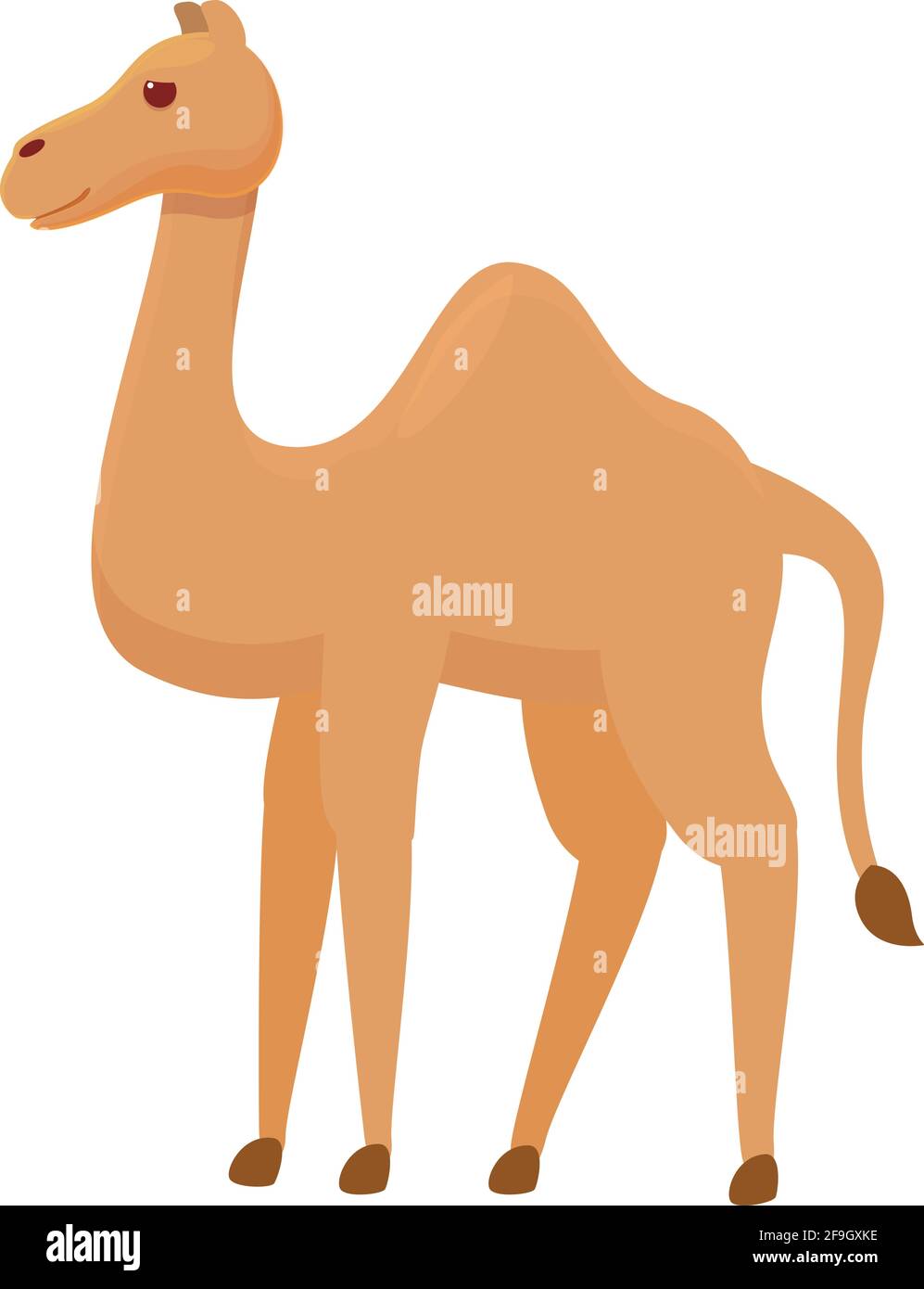 Arabic camel icon. Cartoon of Arabic camel vector icon for web design ...