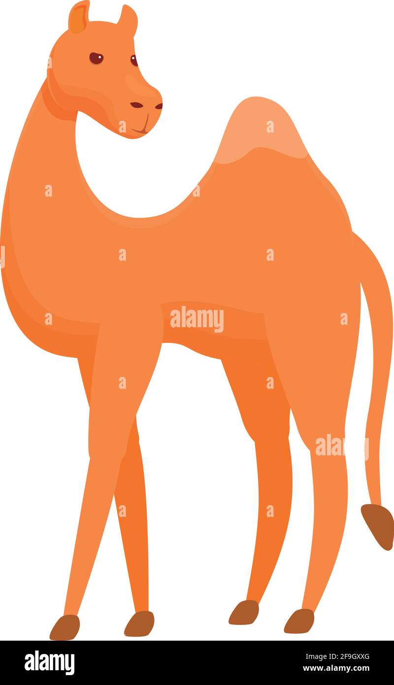 Cute camel icon. Cartoon of Cute camel vector icon for web design ...