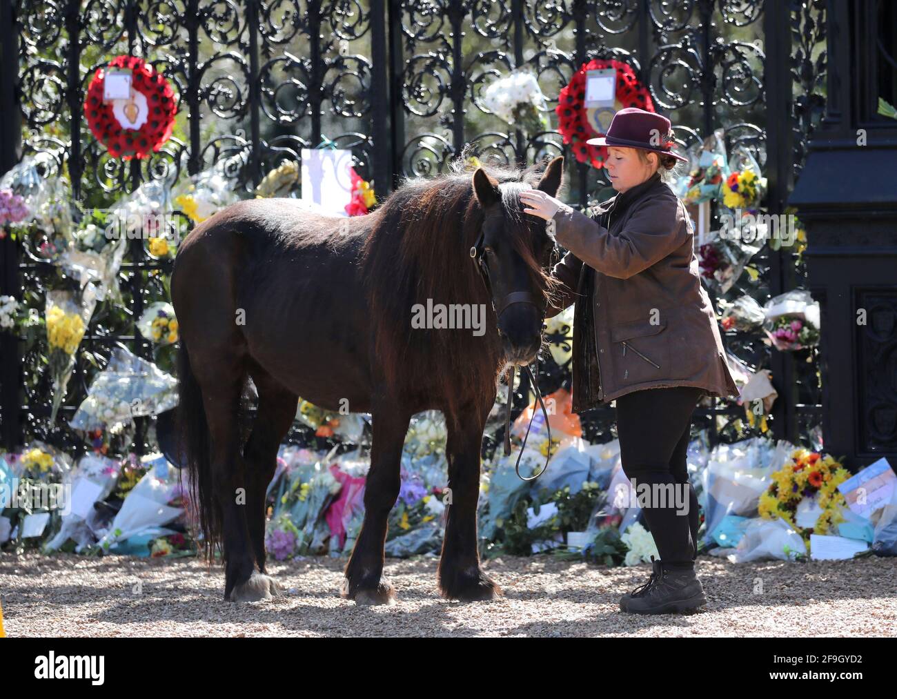Hannah gates hi-res stock photography and images - Alamy
