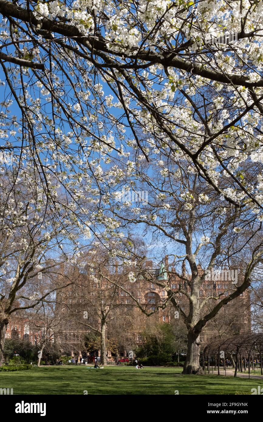 Russell square london spring hi-res stock photography and images - Alamy