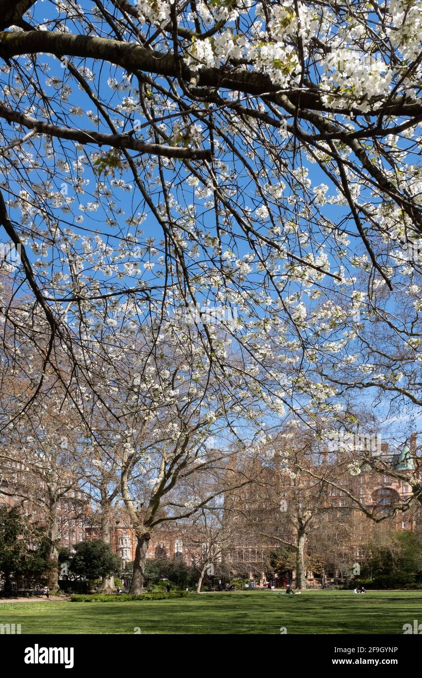 Russell square london spring hi-res stock photography and images - Alamy