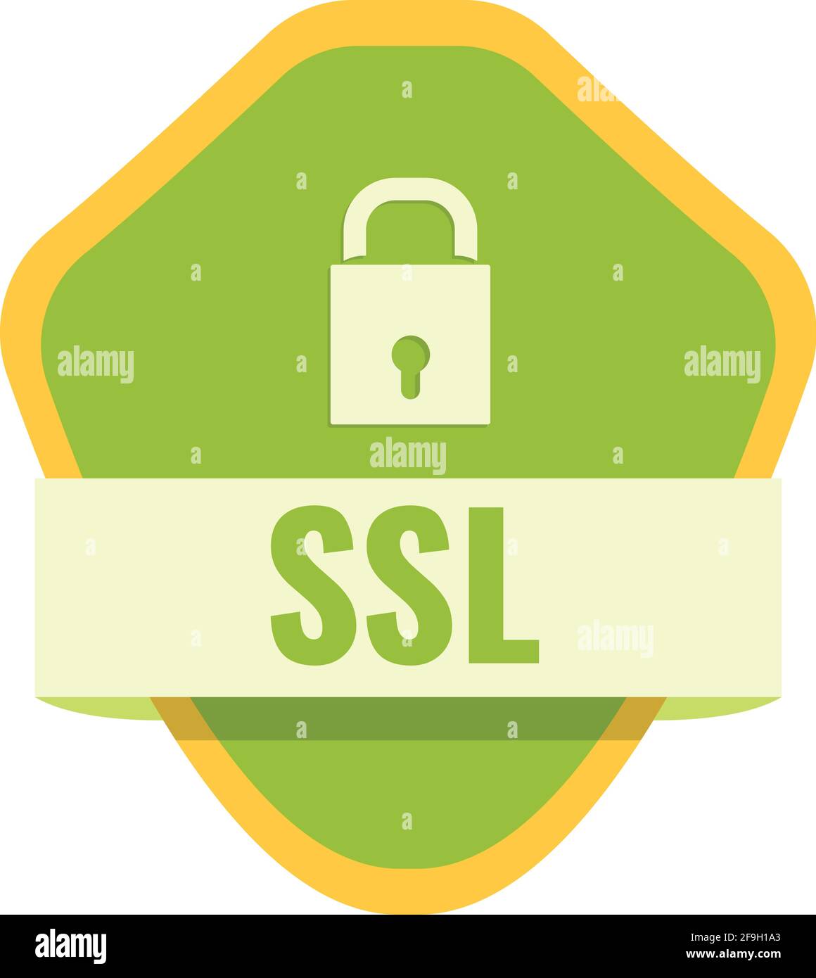 Ssl certificate icon. Cartoon of Ssl certificate vector icon for web ...