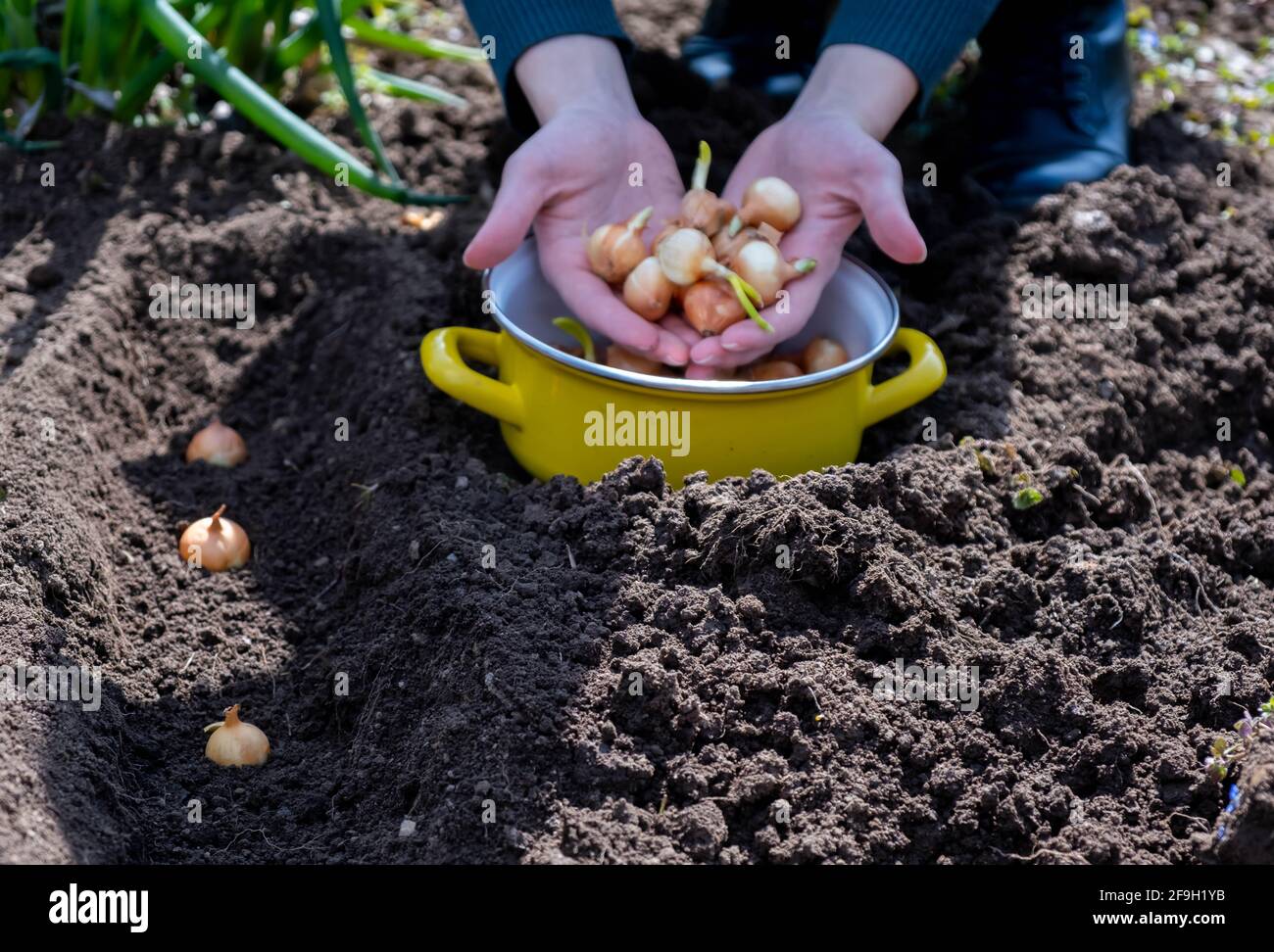 Agriculture land before planting hi-res stock photography and images ...
