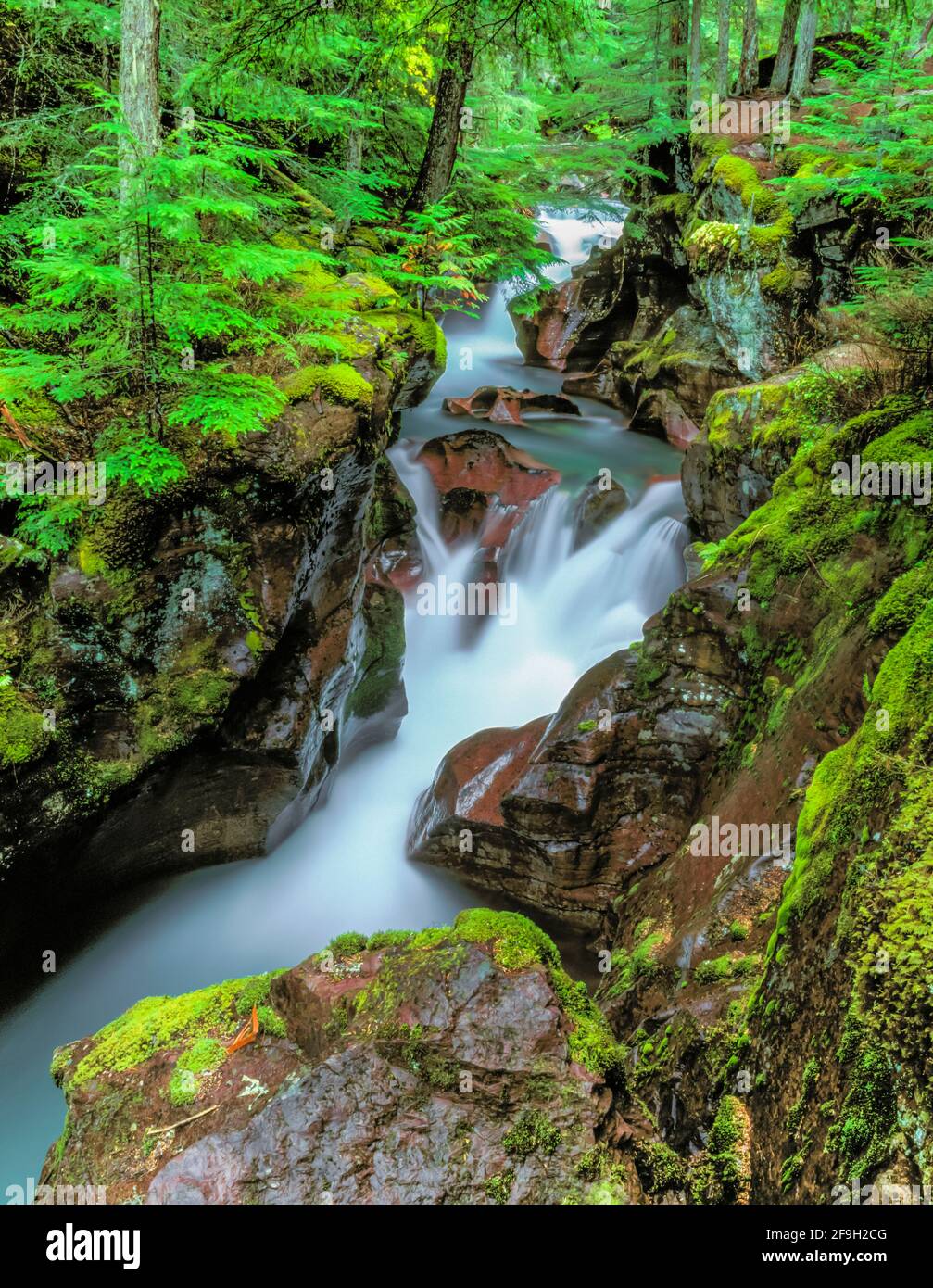 avalanche creek flowing through a gorge in glacier national park ...
