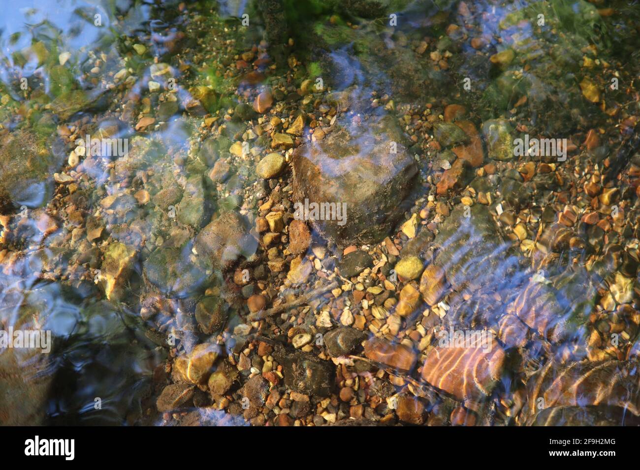 Pebbles at the bottom of a river hi-res stock photography and images ...