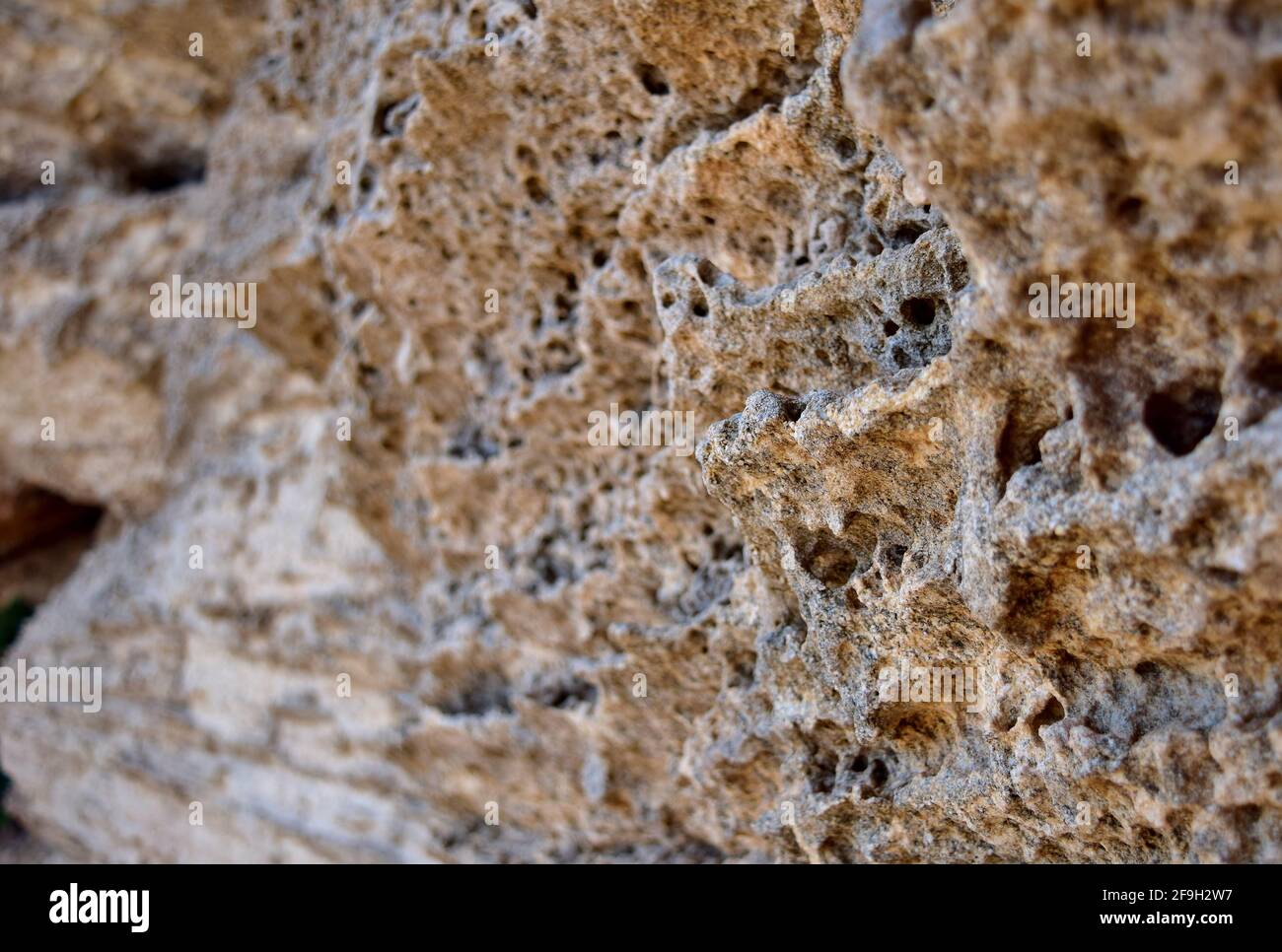 Coralline limestone hi-res stock photography and images - Alamy