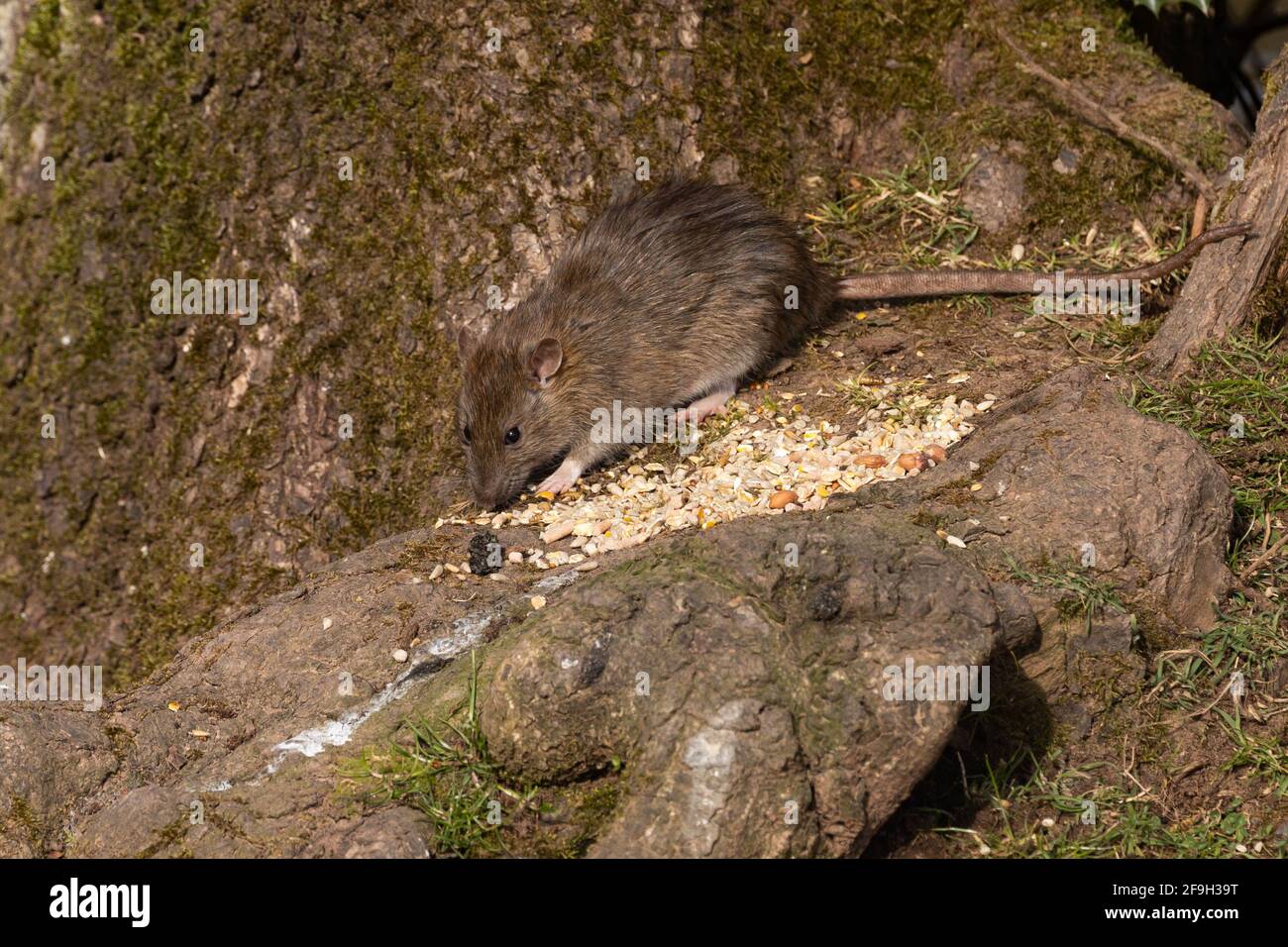 Sunshine and daylight hi-res stock photography and images - Alamy