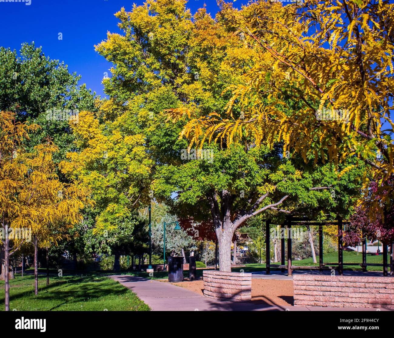 The trees of downtown Santa Fe with fall colors Stock Photo - Alamy