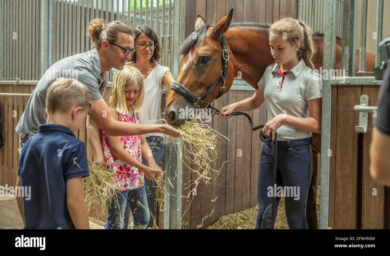 A closeup shot of a Slovenian family petting a brown horse in a stall ...