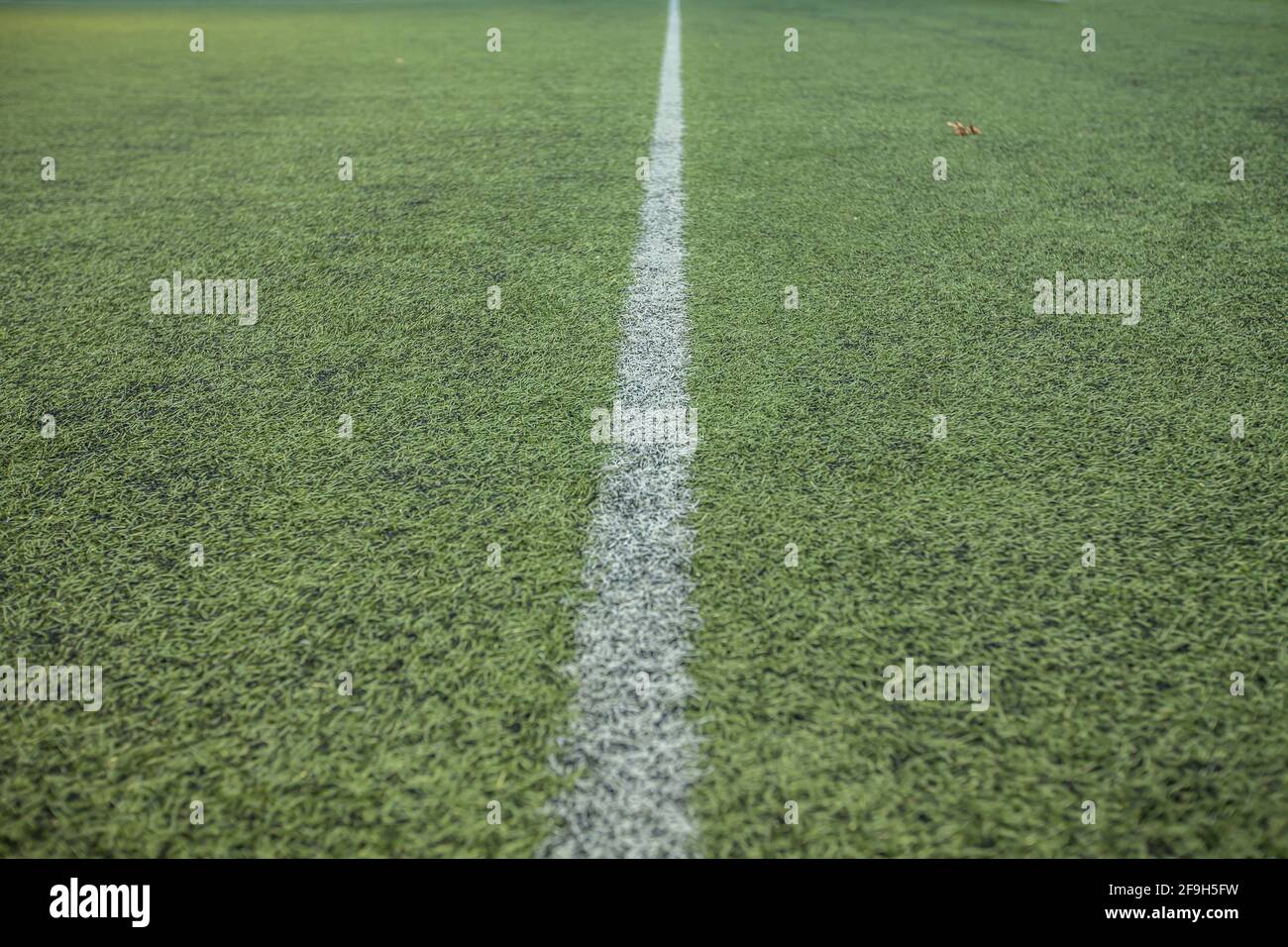 Empty football field with white yard line in the middle Stock Photo - Alamy