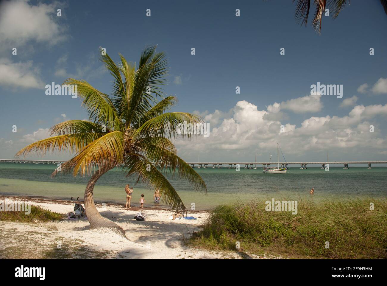 FLORIDA KEYS, UNITED STATES - Apr 04, 2011: Tropical scenery with palm ...