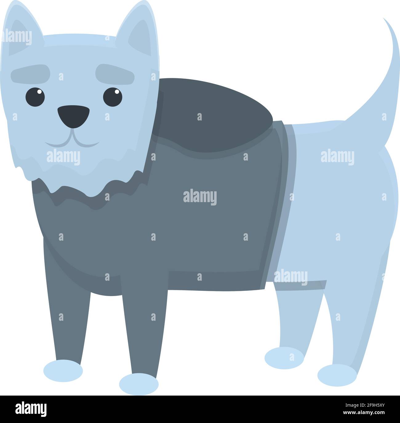 Canine dog clothes icon. Cartoon of Canine dog clothes vector icon for ...