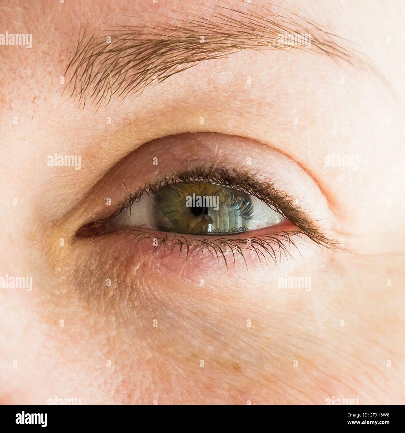 Closeup of a right eye and eyebrow of a human with white skin Stock ...