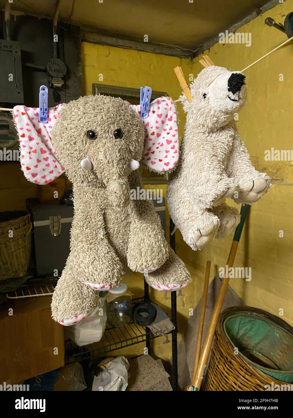 Favorite stuffed animal hi-res stock photography and images - Alamy