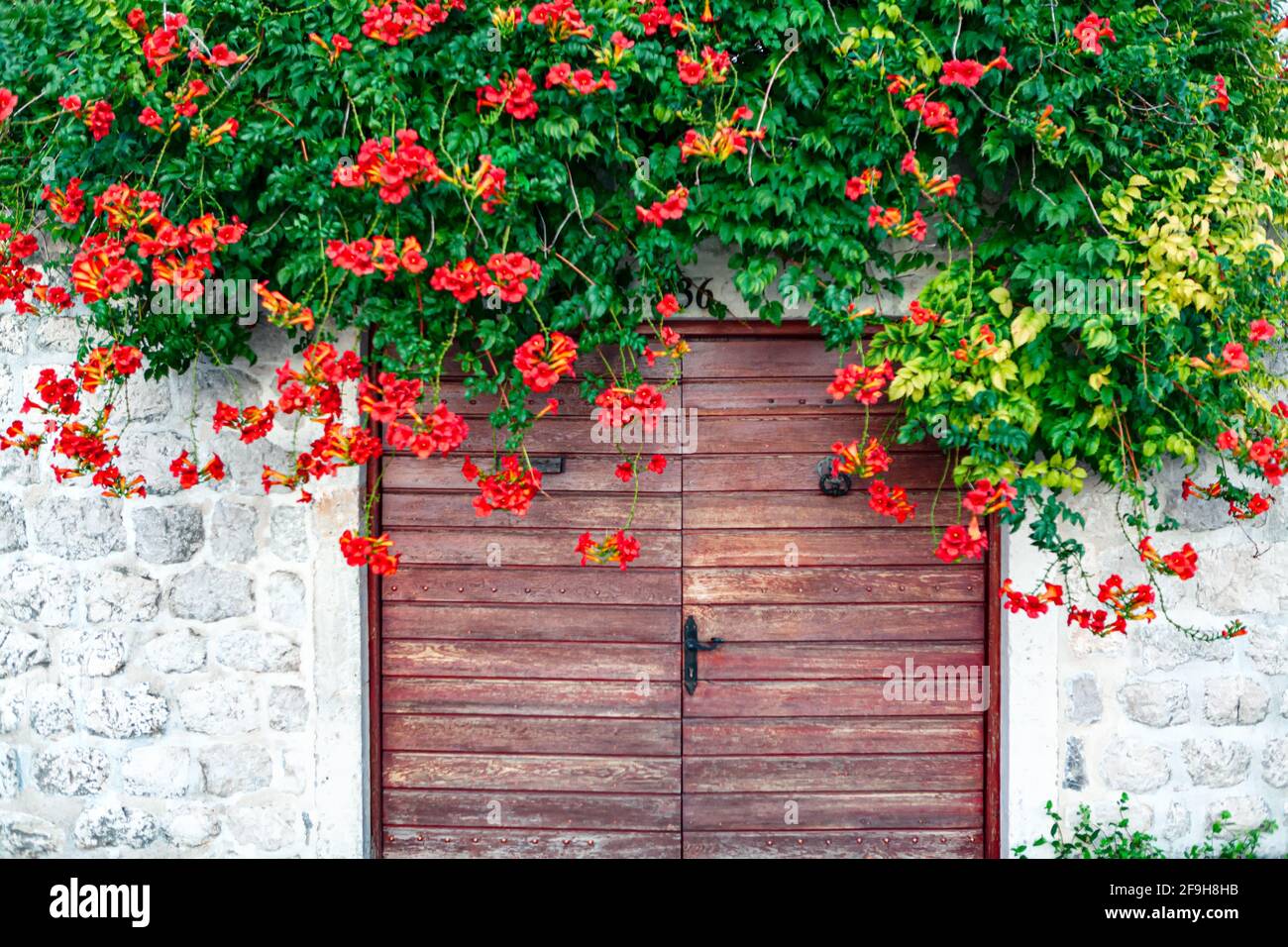 Brick wall garden fence ivy door hi-res stock photography and images ...