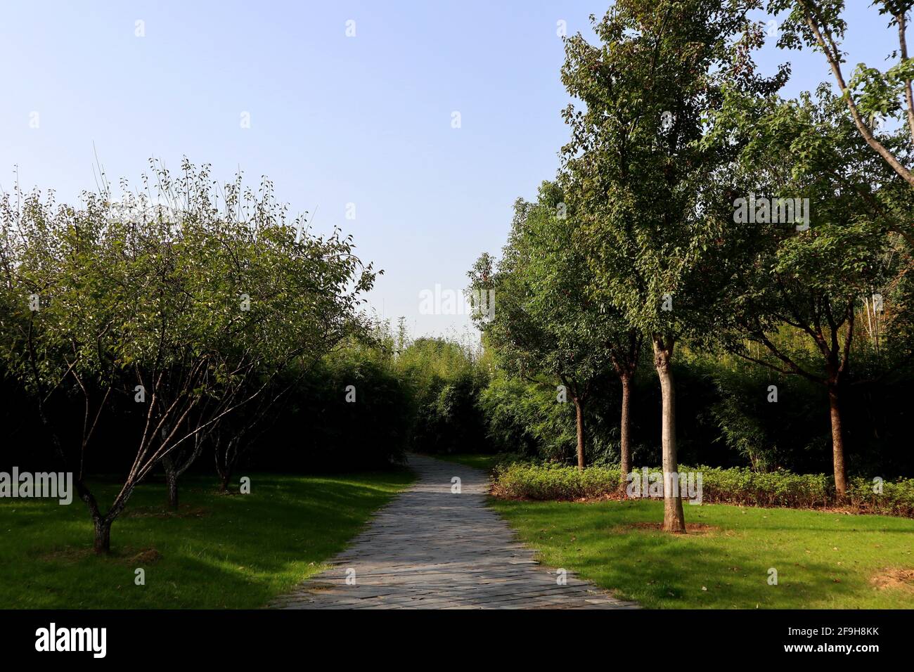 This is a beautiful view of some city parks in China Stock Photo - Alamy