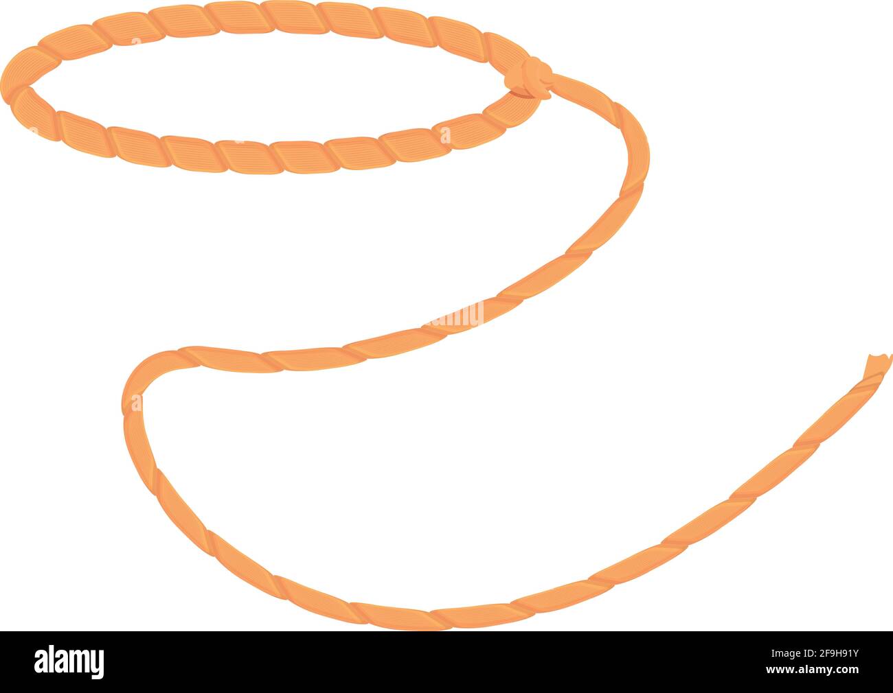 Lasso icon. Cartoon of Lasso vector icon for web design isolated on ...