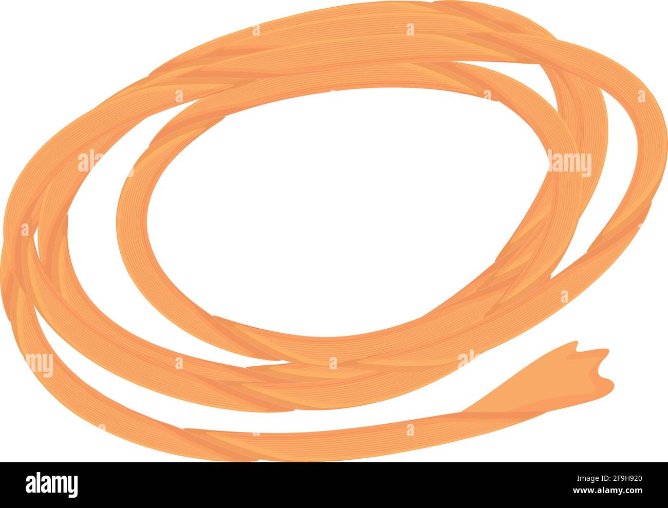 Rope lasso icon. Cartoon of Rope lasso vector icon for web design ...