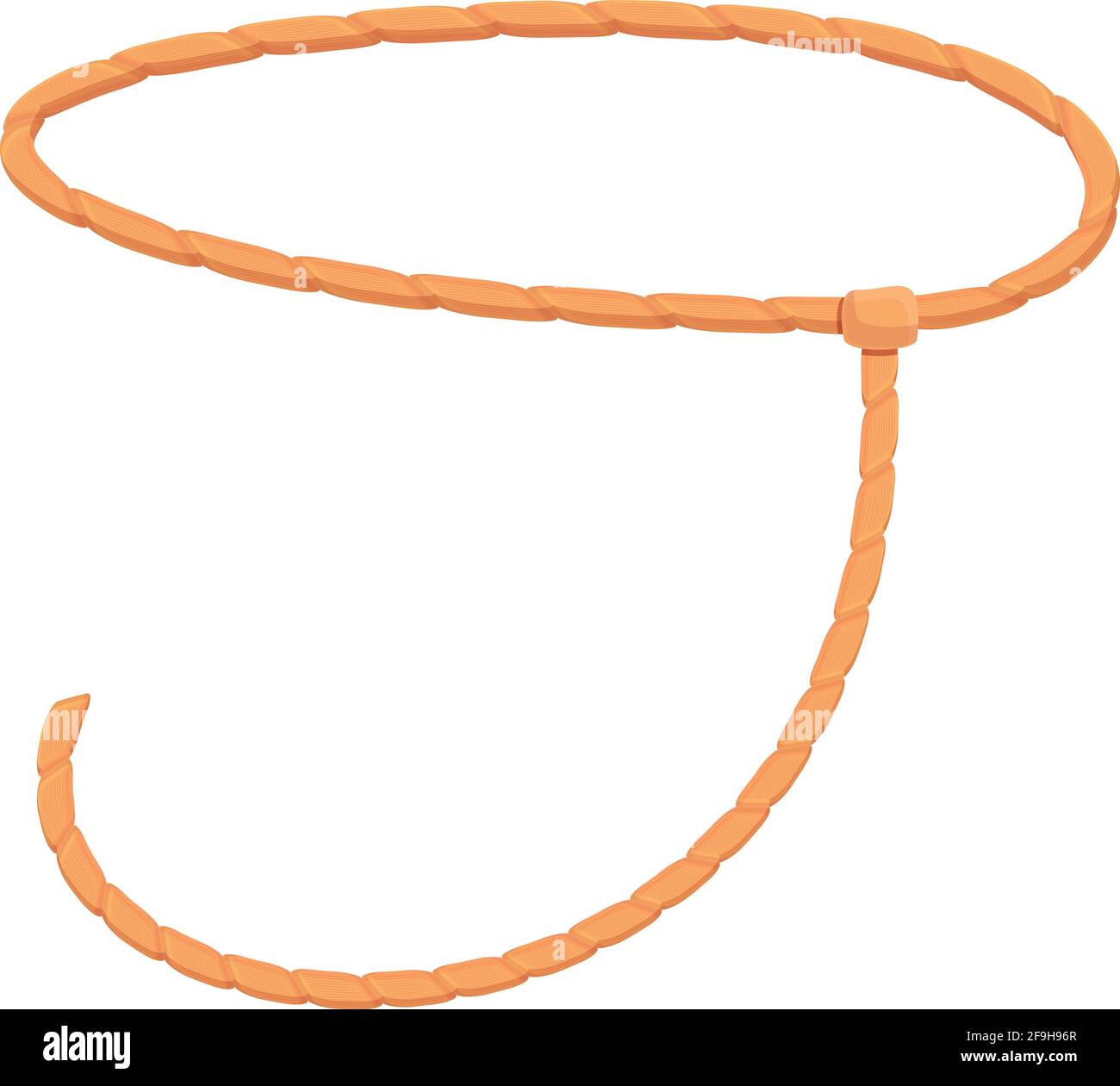 Loop lasso icon. Cartoon of Loop lasso vector icon for web design ...