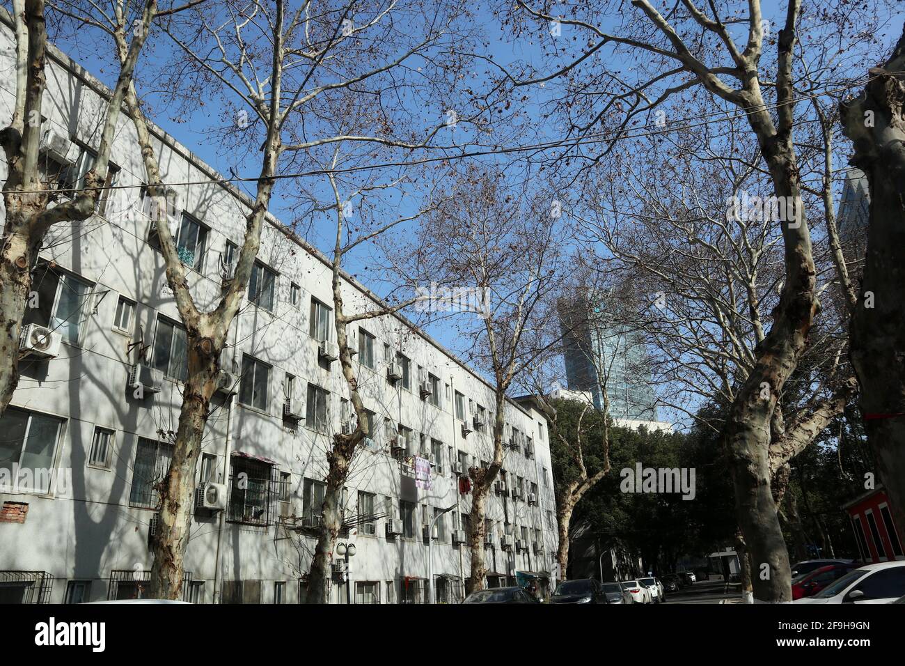 These beautiful houses are the dwellings in rural China Stock Photo - Alamy
