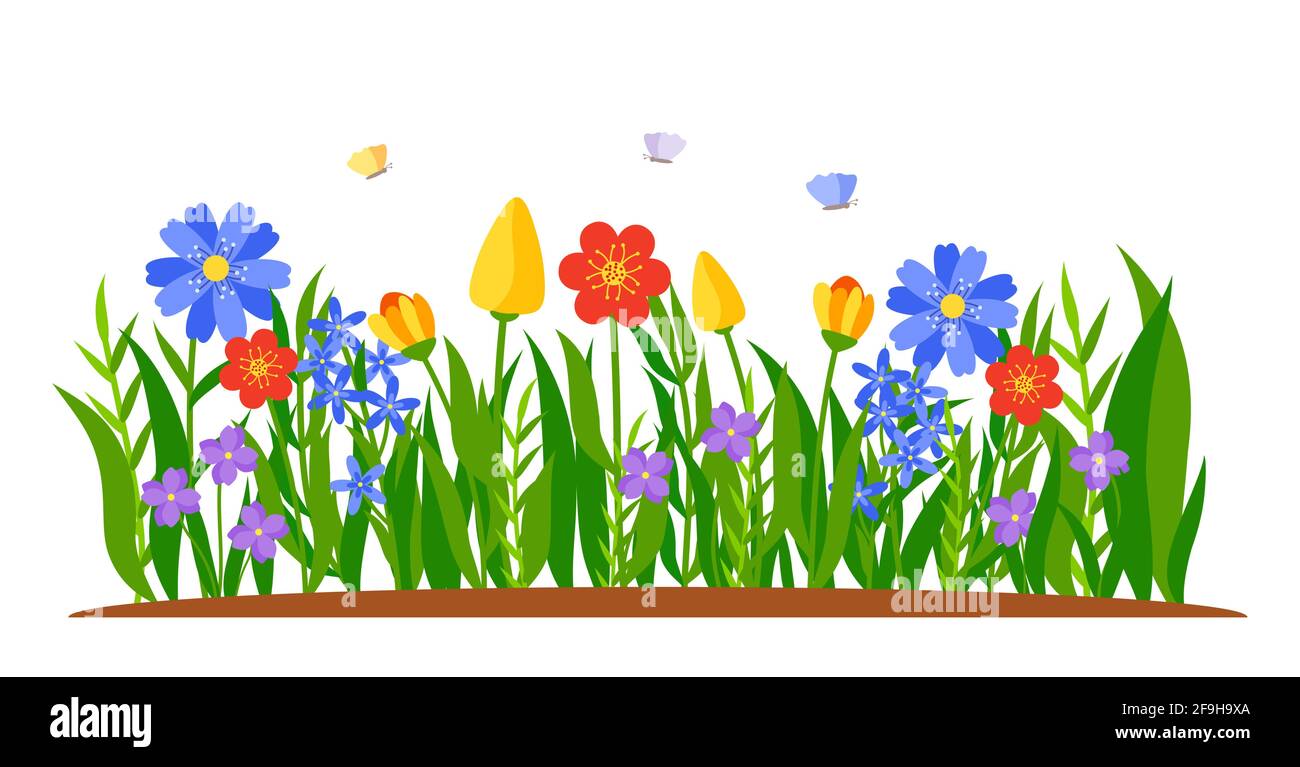 Border of flowers growing in grass. Spring tulips, daffodils or daisies ...