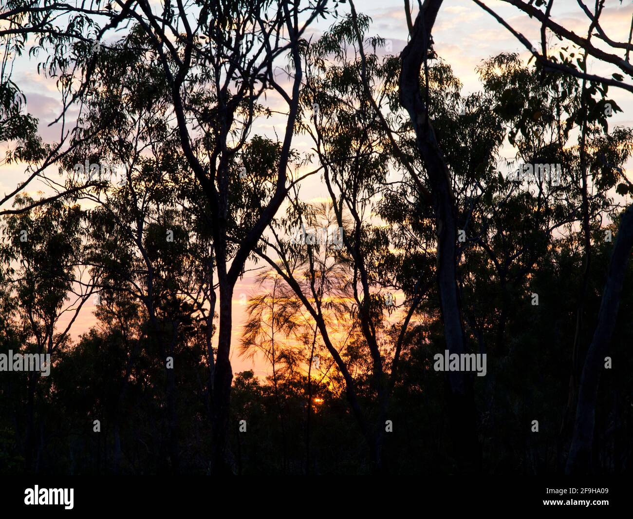 Sunset through tropical trees at Munurru Campground, King Edward River ...