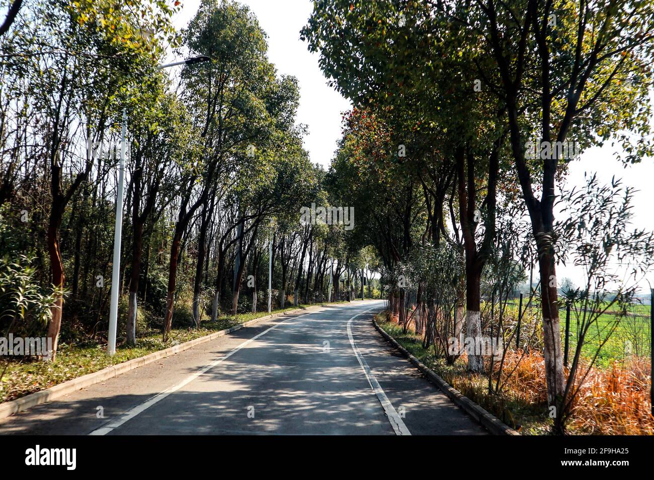 This is the beautiful scenery seen in the Chinese countryside in spring ...