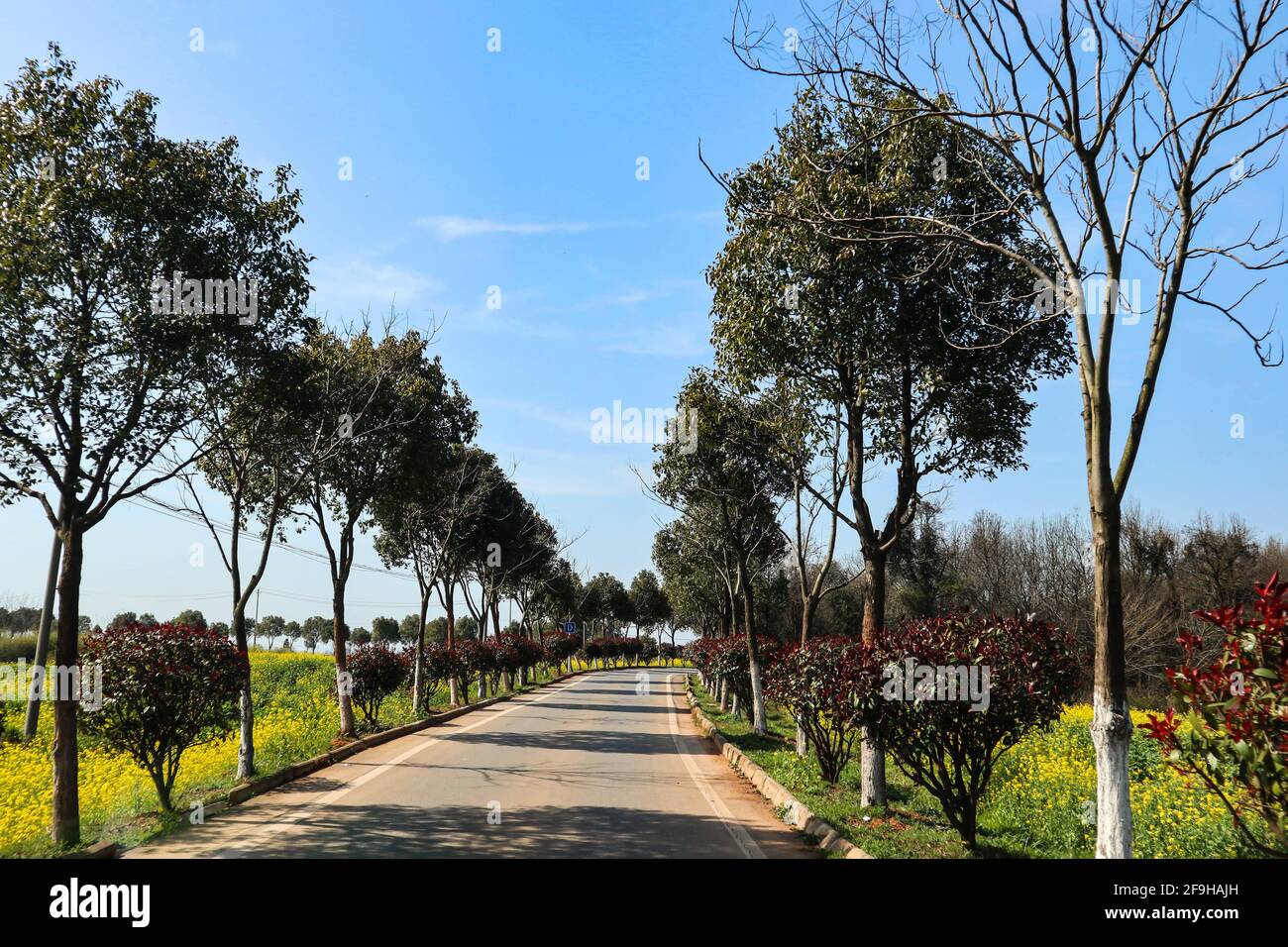 This is the beautiful scenery seen in the Chinese countryside in spring ...