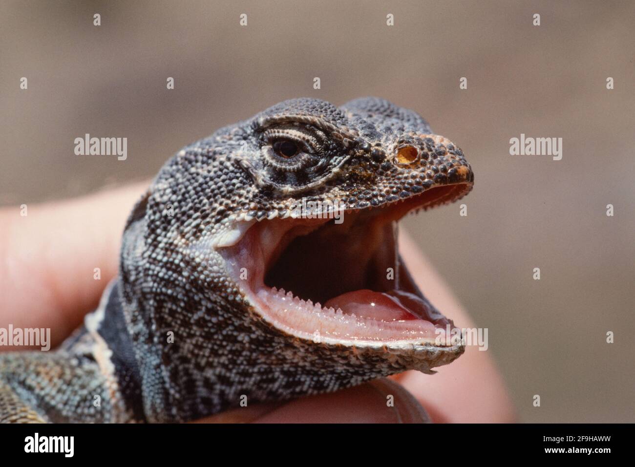 Jon sharp hi-res stock photography and images - Alamy