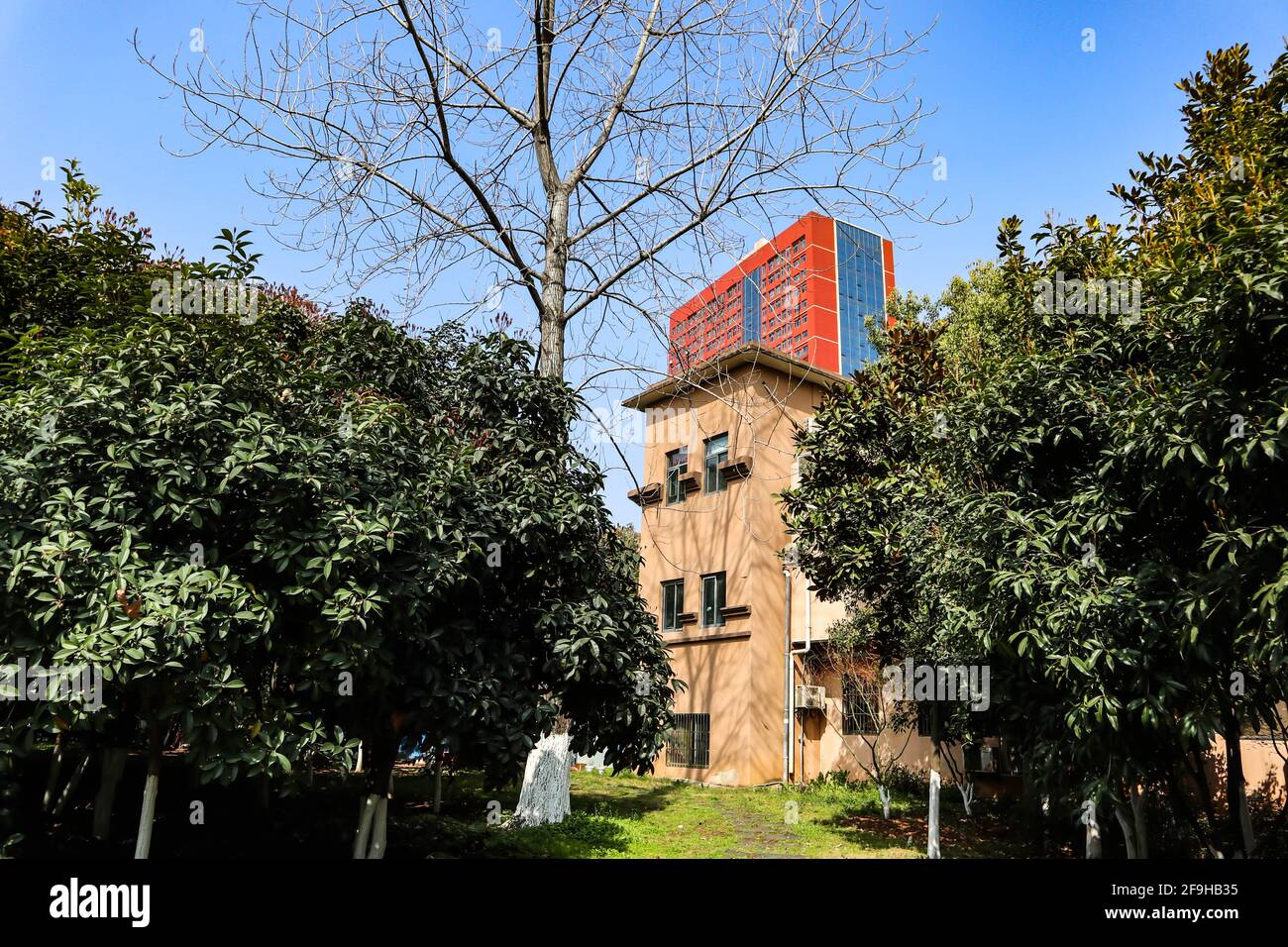 These beautiful houses are the dwellings in rural China Stock Photo - Alamy