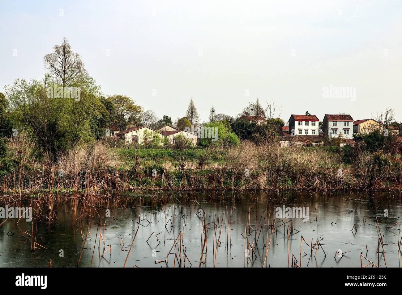 This is the beautiful scenery seen in the Chinese countryside in spring ...