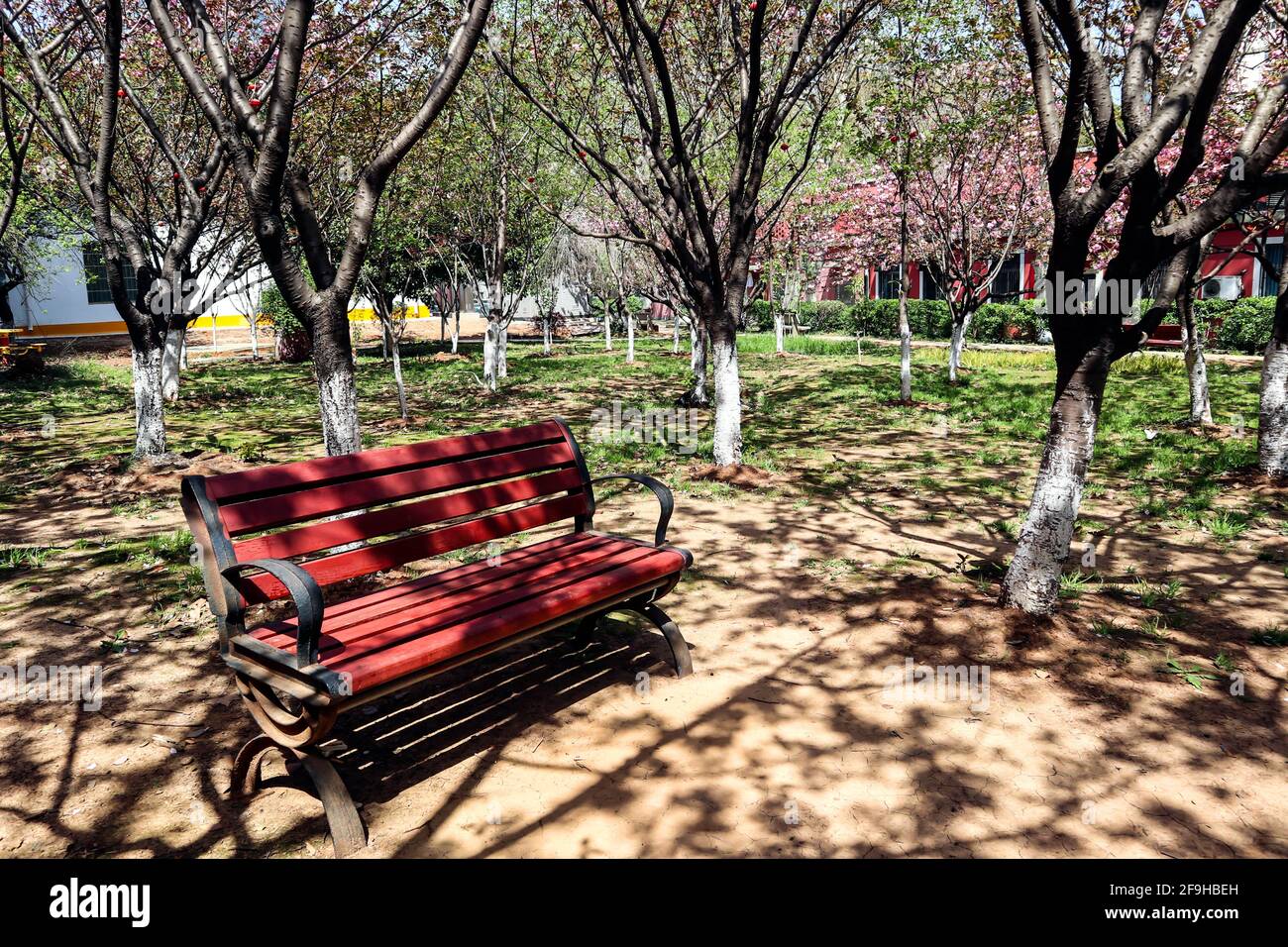 A chair for visitors to rest in a park Stock Photo - Alamy