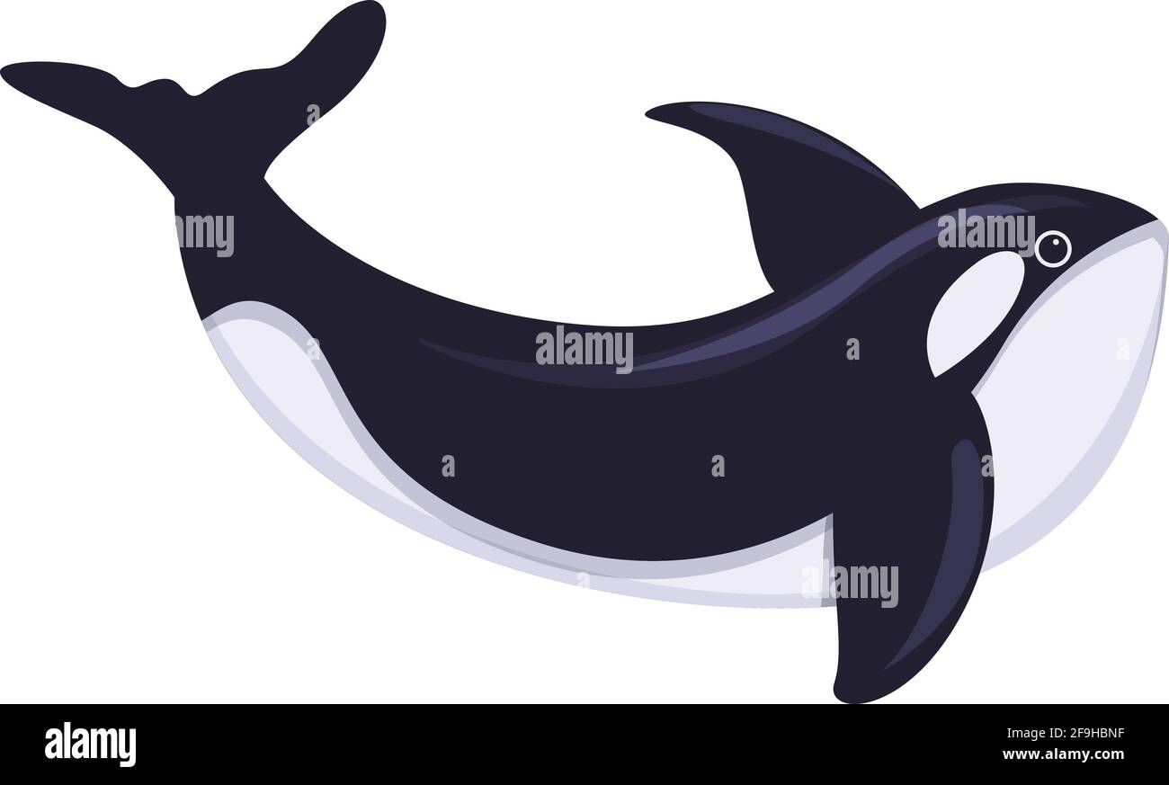 Killer whale fish icon. Cartoon of Killer whale fish vector icon for ...