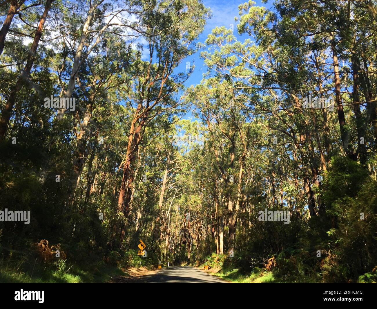This is a country road in Australia Stock Photo - Alamy