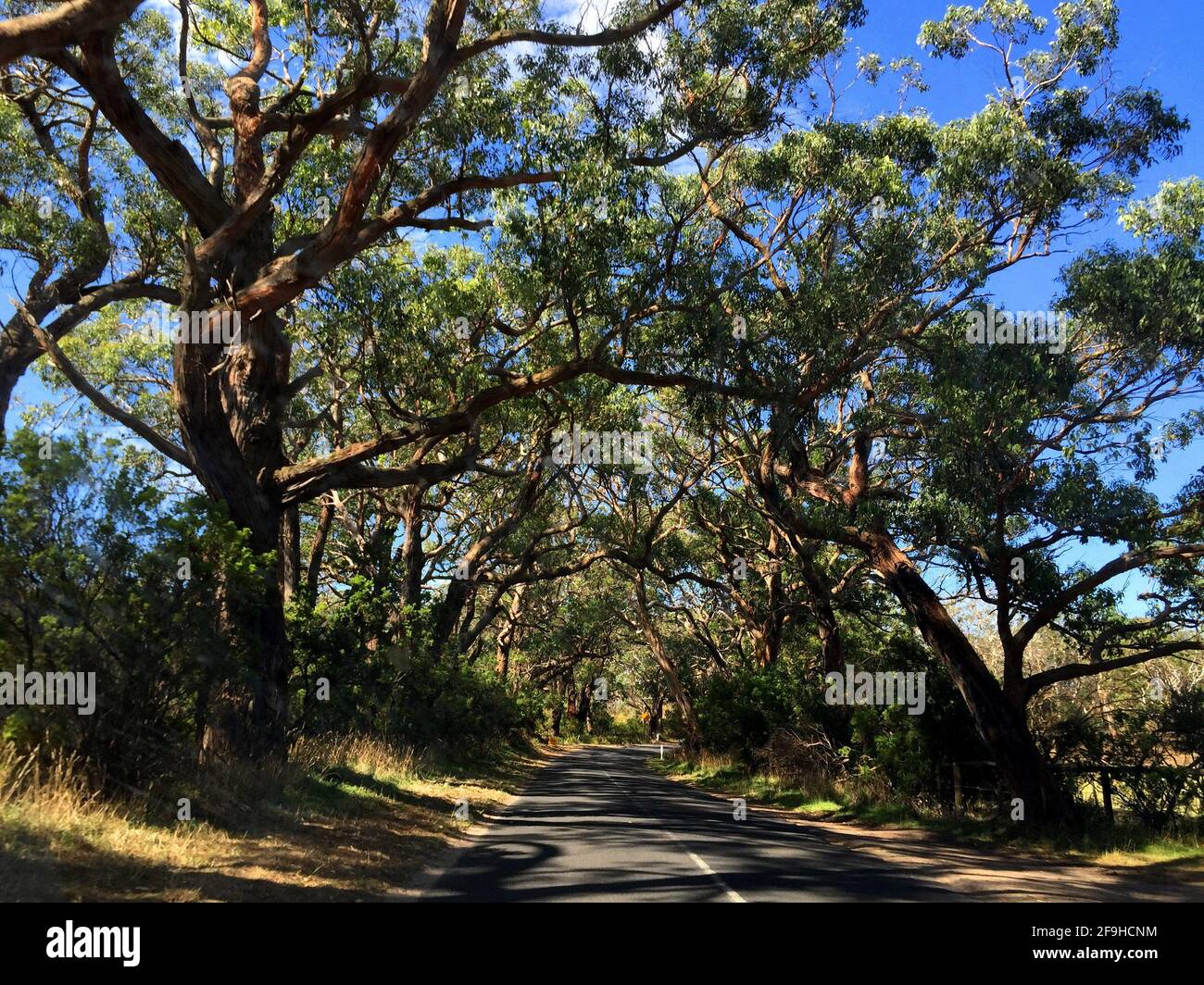 This is a country road in Australia Stock Photo - Alamy