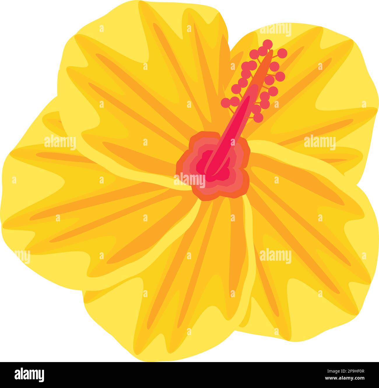 flower hibiscus tropical Stock Vector Image & Art - Alamy