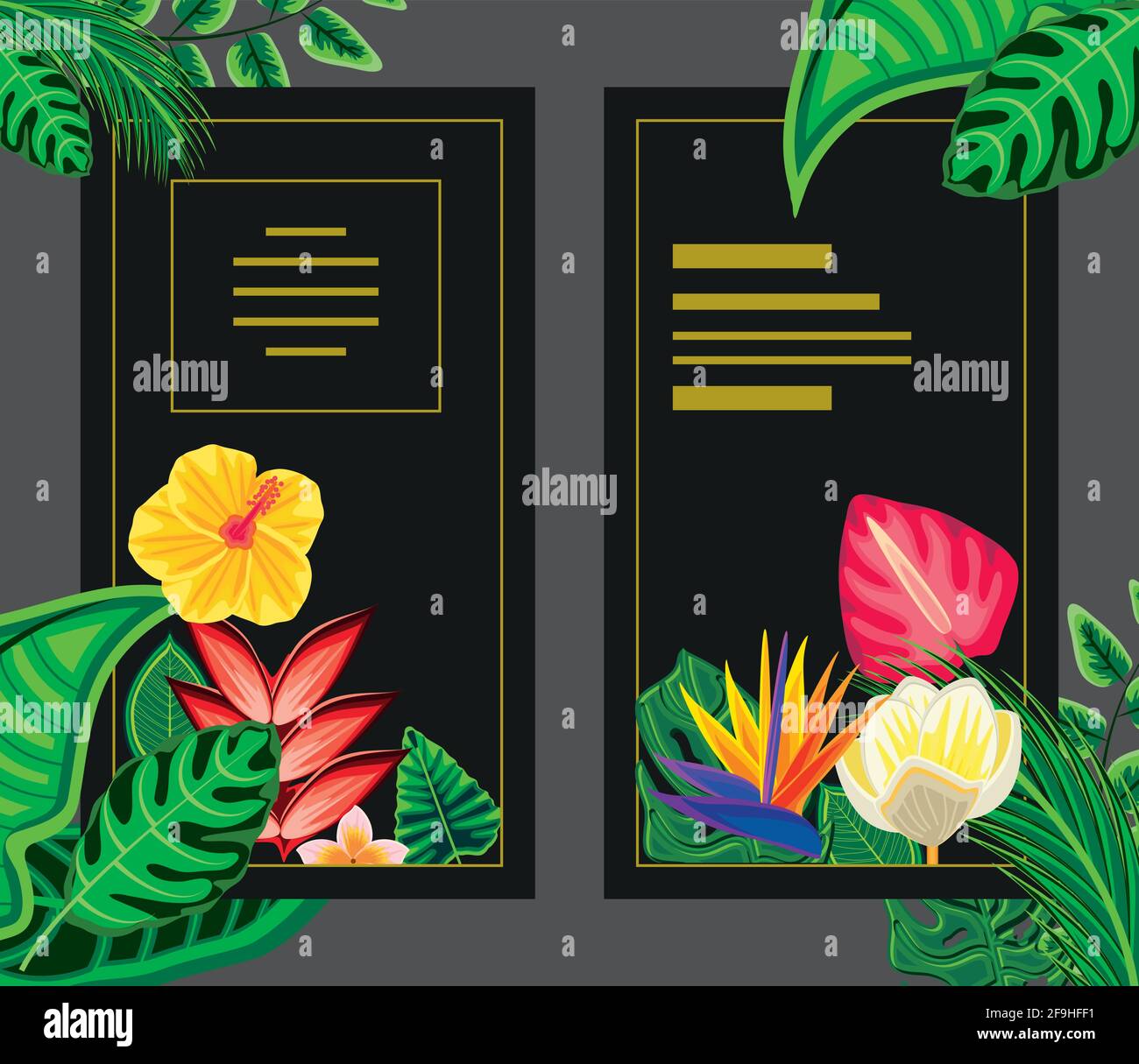 tropical banners design Stock Vector Image & Art - Alamy