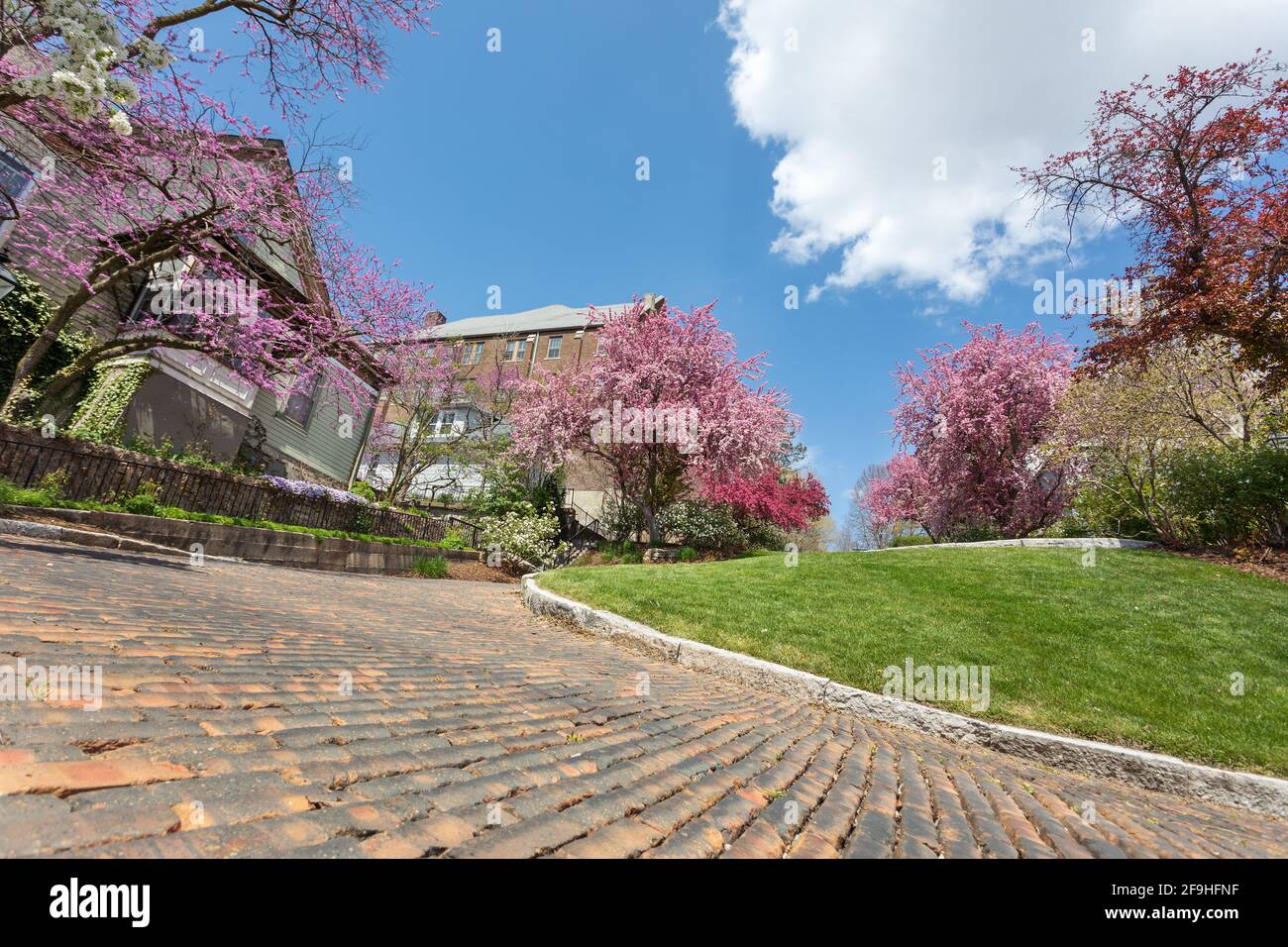Snake alley burlington iowa hi-res stock photography and images - Alamy