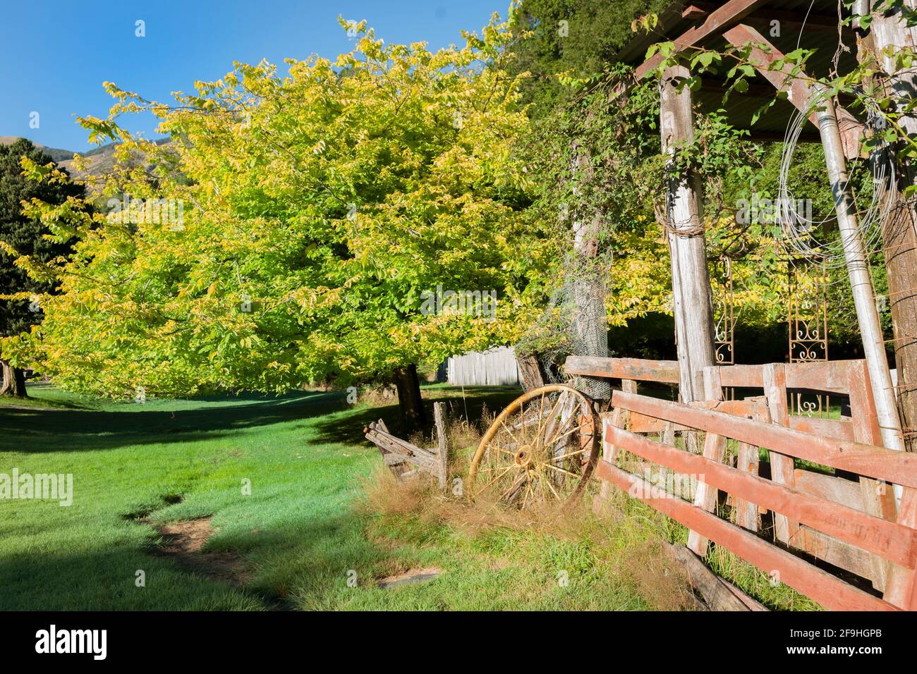 Old buildings and wagon wheel among large trees with bright green and ...