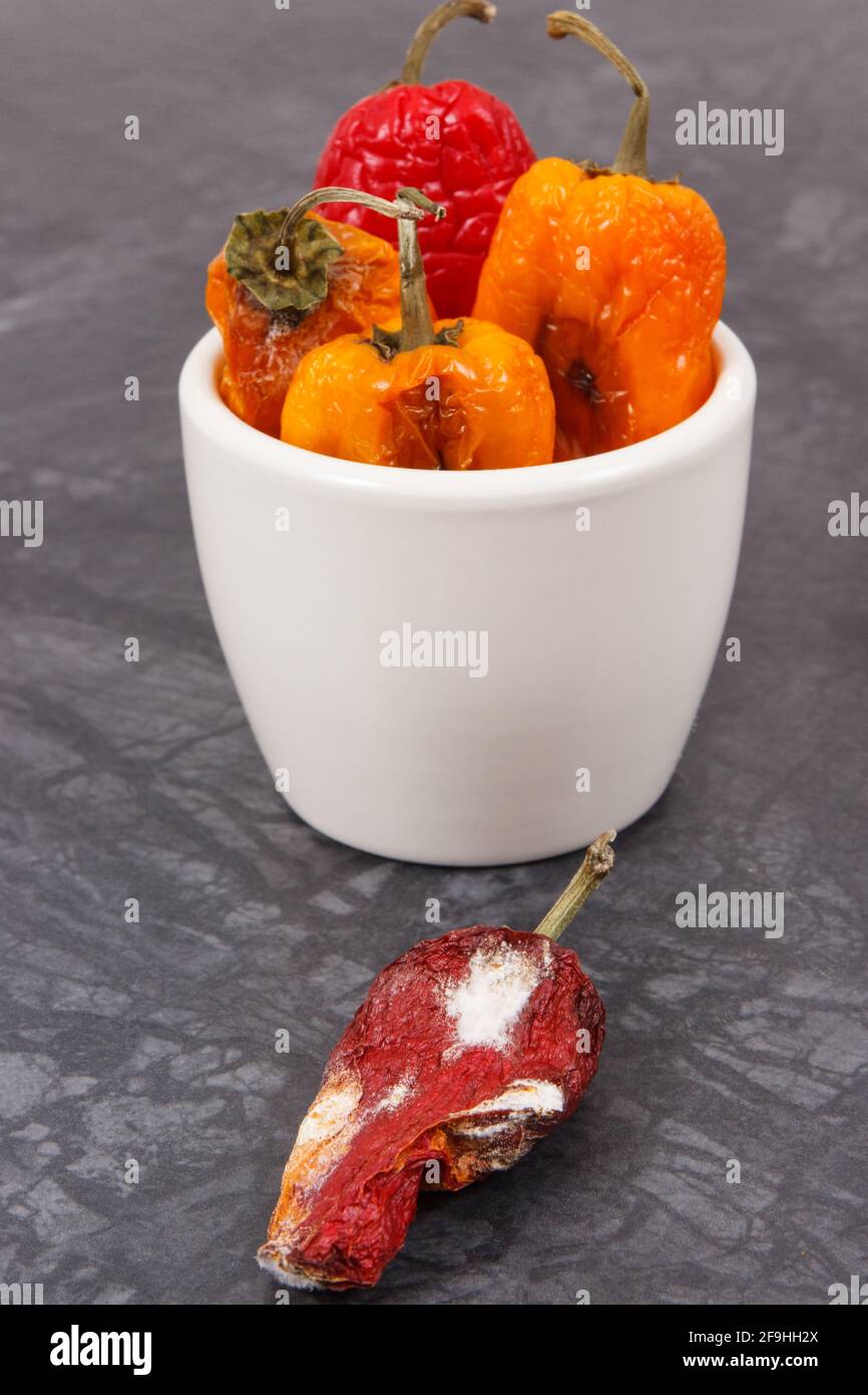 Old wrinkled moldy peppers in white bowl on dark background, concept of ...