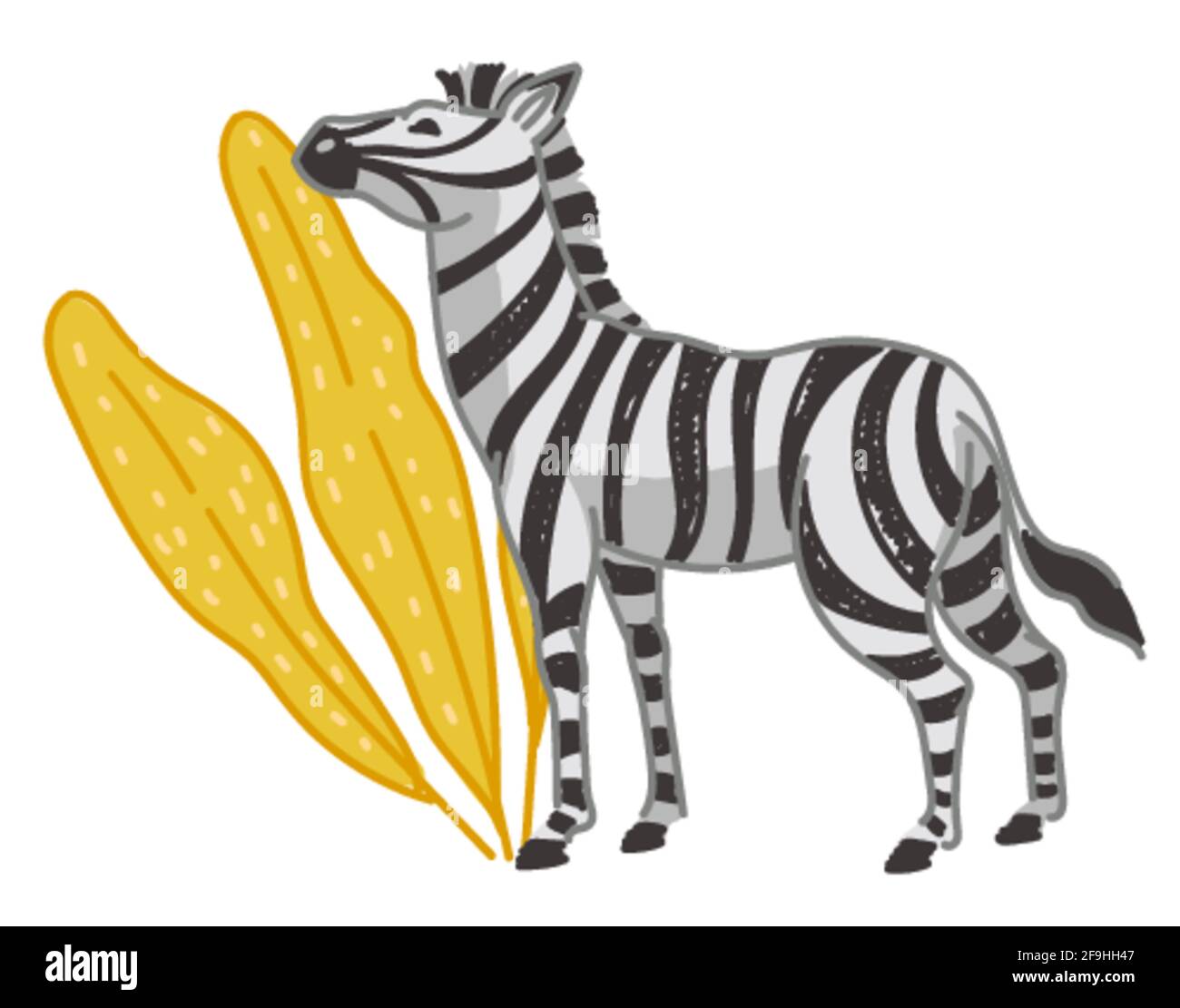 Africa grass yellow zebra Cut Out Stock Images & Pictures - Alamy