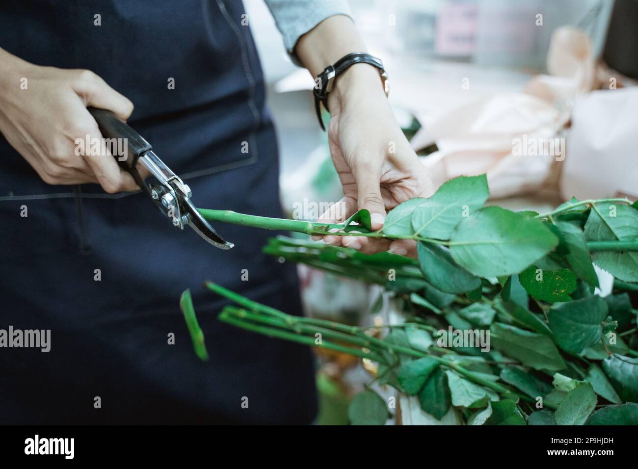 Cutting flowers bucket hi-res stock photography and images - Alamy