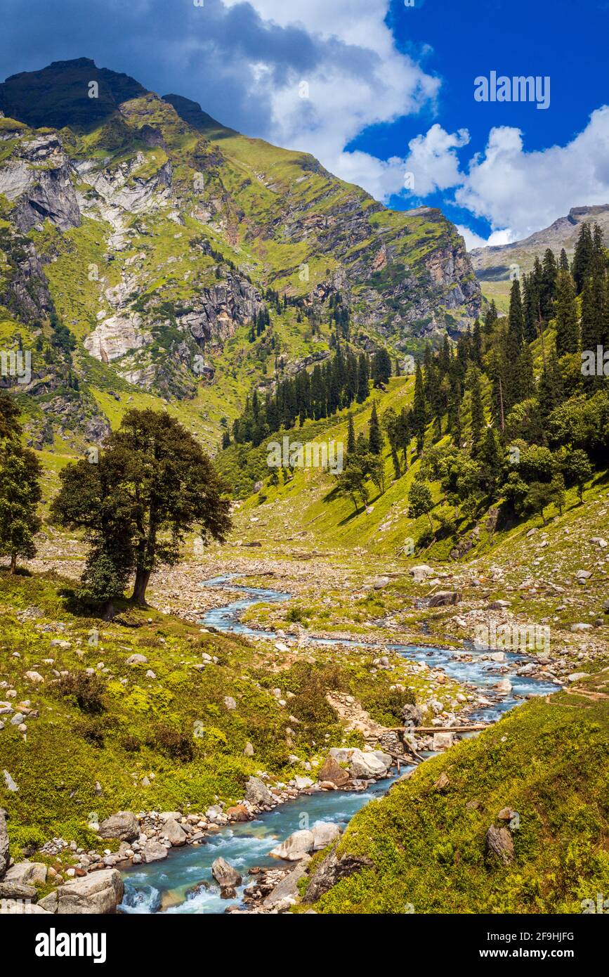 Scenic vertical landscape view of the mountain river. River in alpine ...