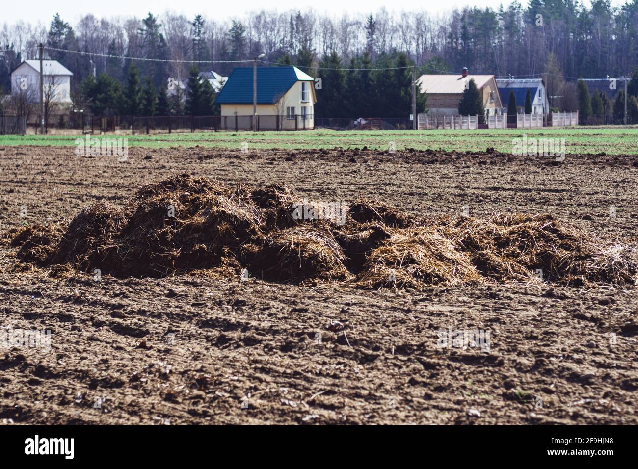 Pile of manure hi-res stock photography and images - Alamy