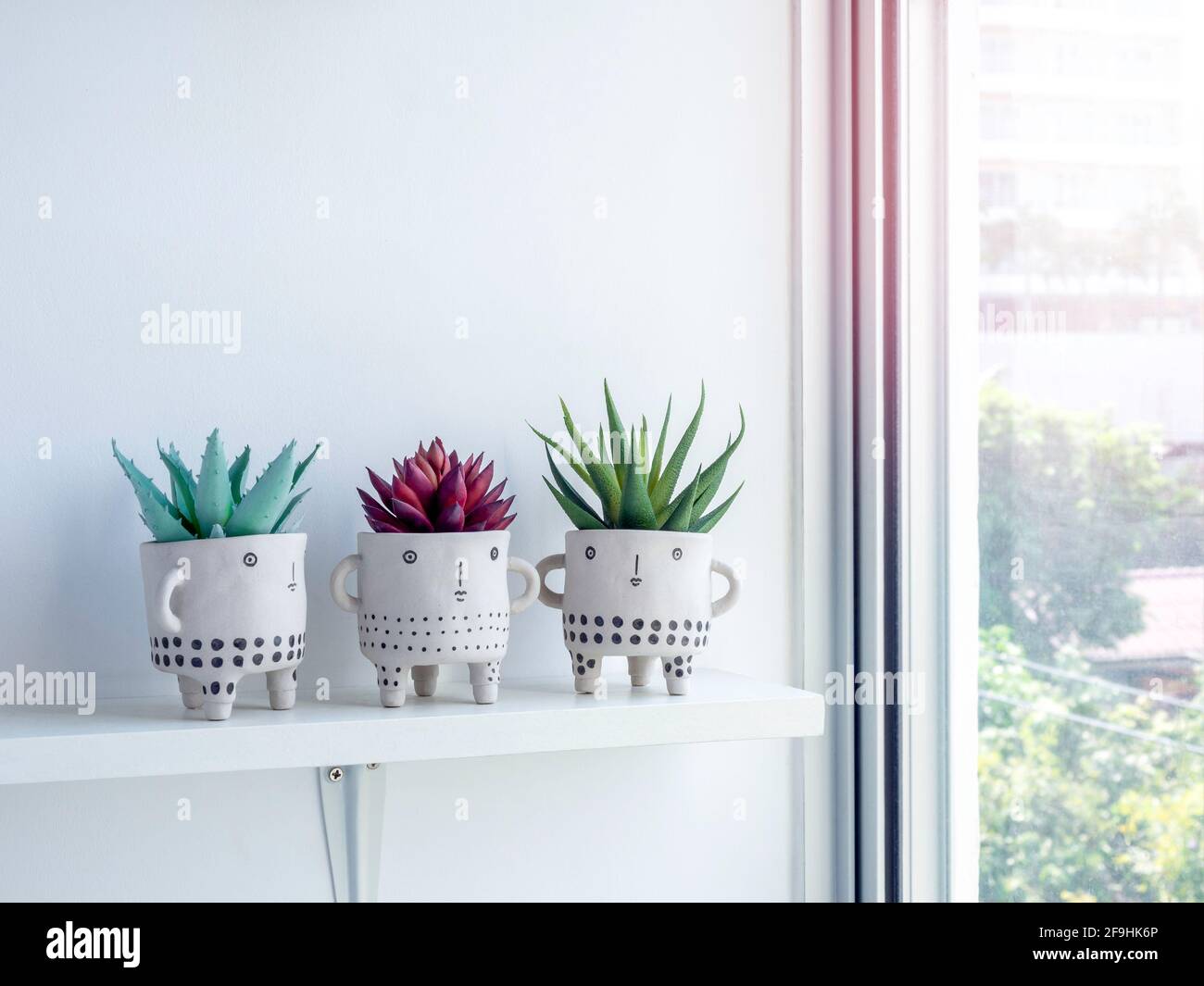 Three cute face ceramic plant pots with red and green succulent plants ...
