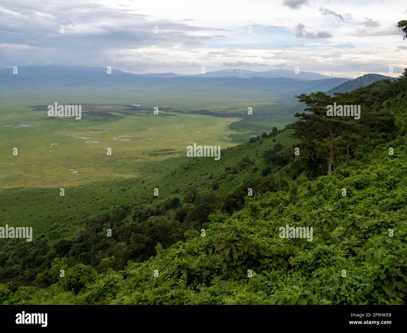 Ngorongoro Crater, Tanzania, Africa - March 1, 2020: Scenic view of ...