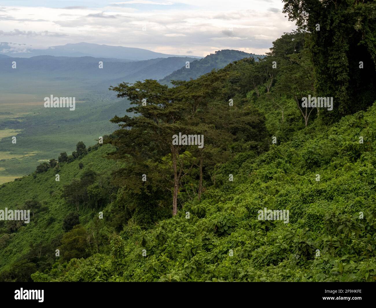 Ngorongoro Crater, Tanzania, Africa - March 1, 2020: Scenic view of ...