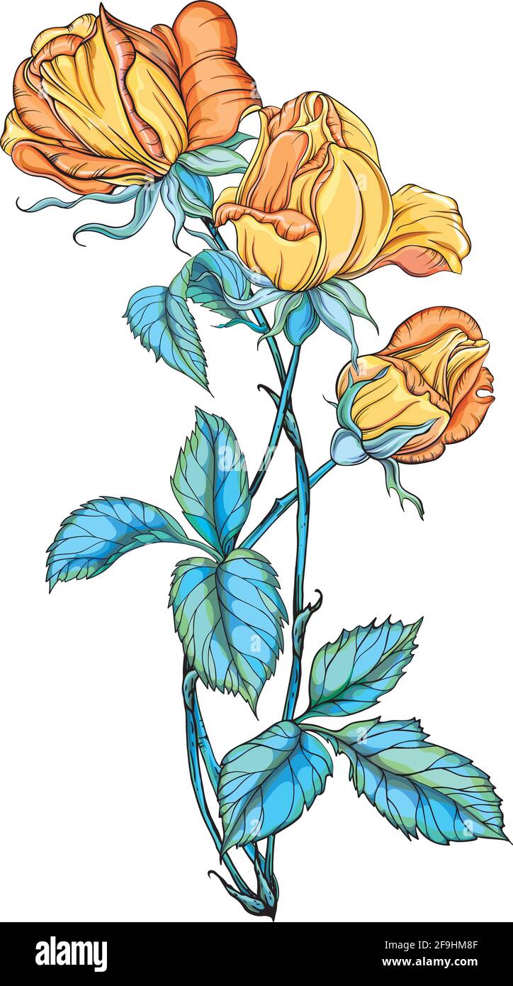 Three yellow roses Stock Vector Images - Alamy