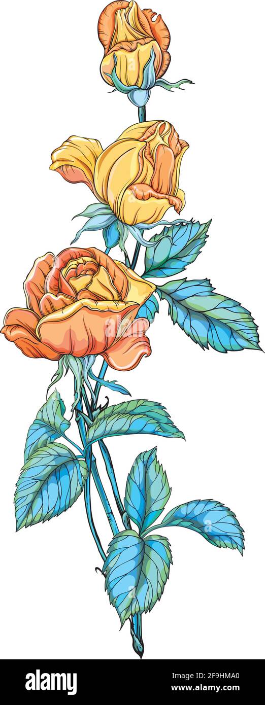 Three beautiful yellow roses isolated on the white background Stock ...