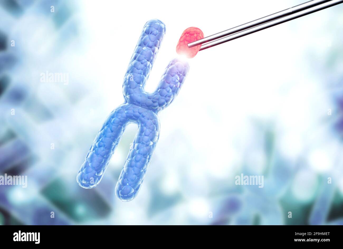 X chromosome break or Replace. Genetic engineering, GMO and gene ...